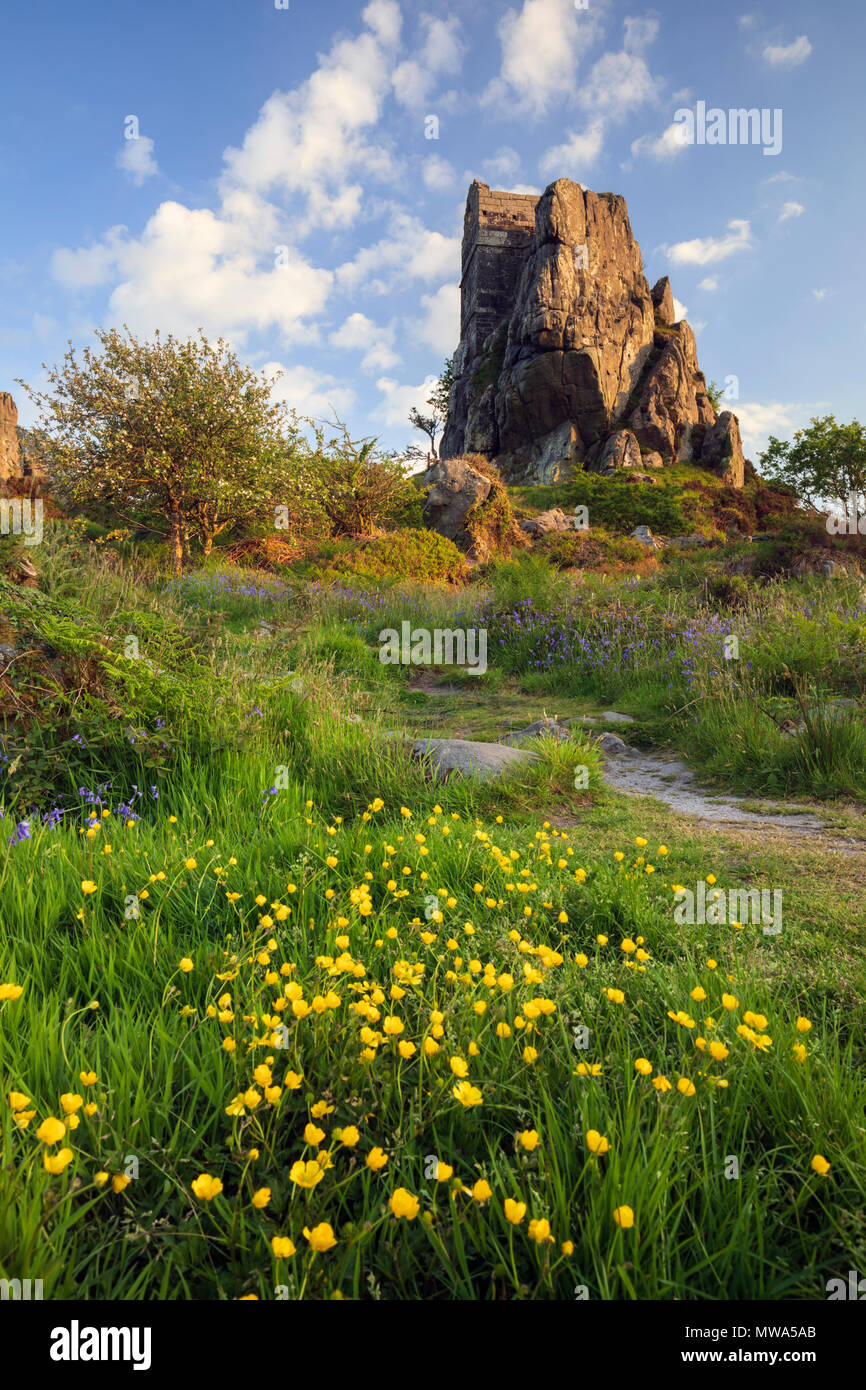 Rock flowers hi-res stock photography and images - Alamy