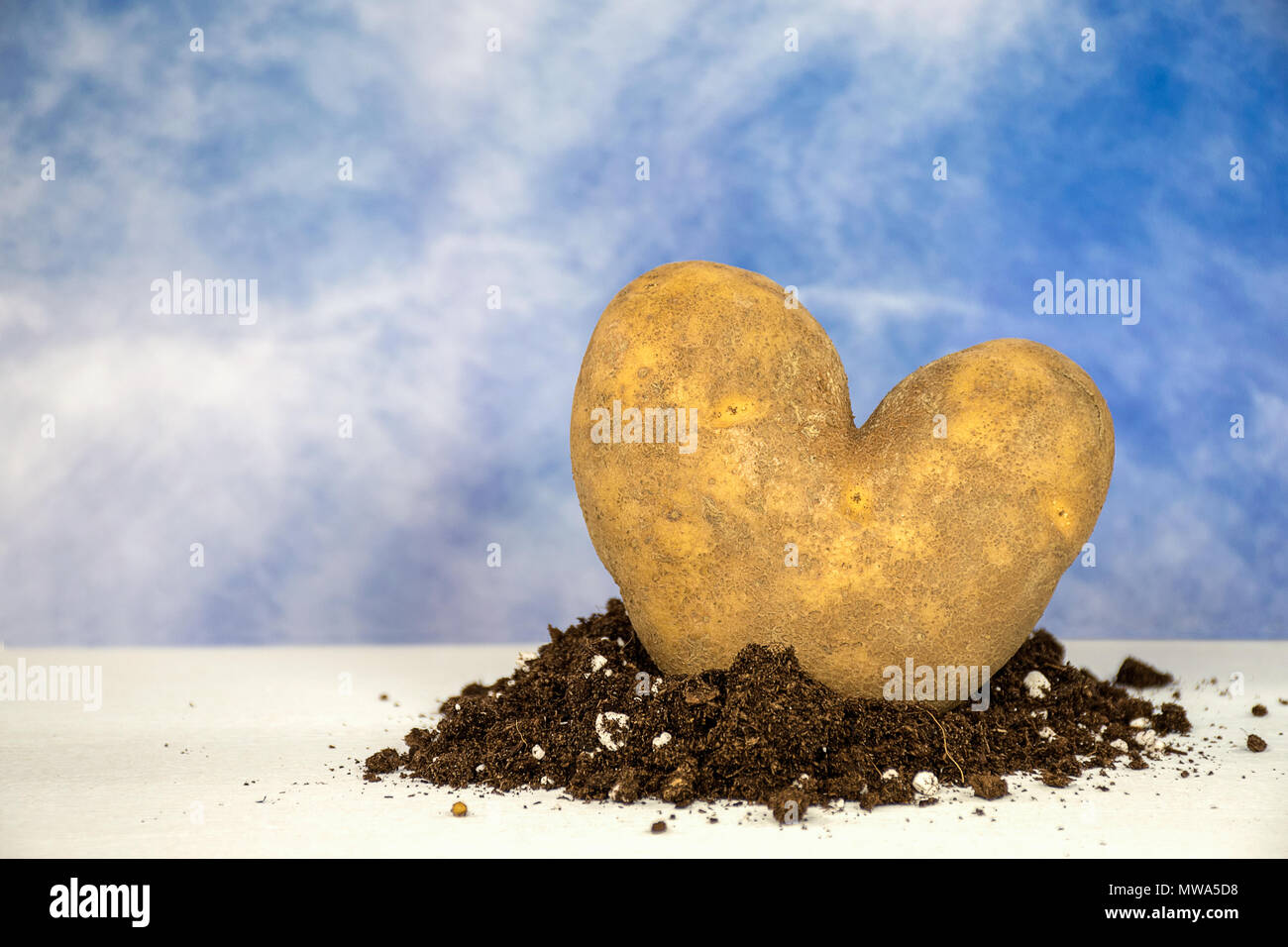 Idaho potato hi-res stock photography and images - Alamy