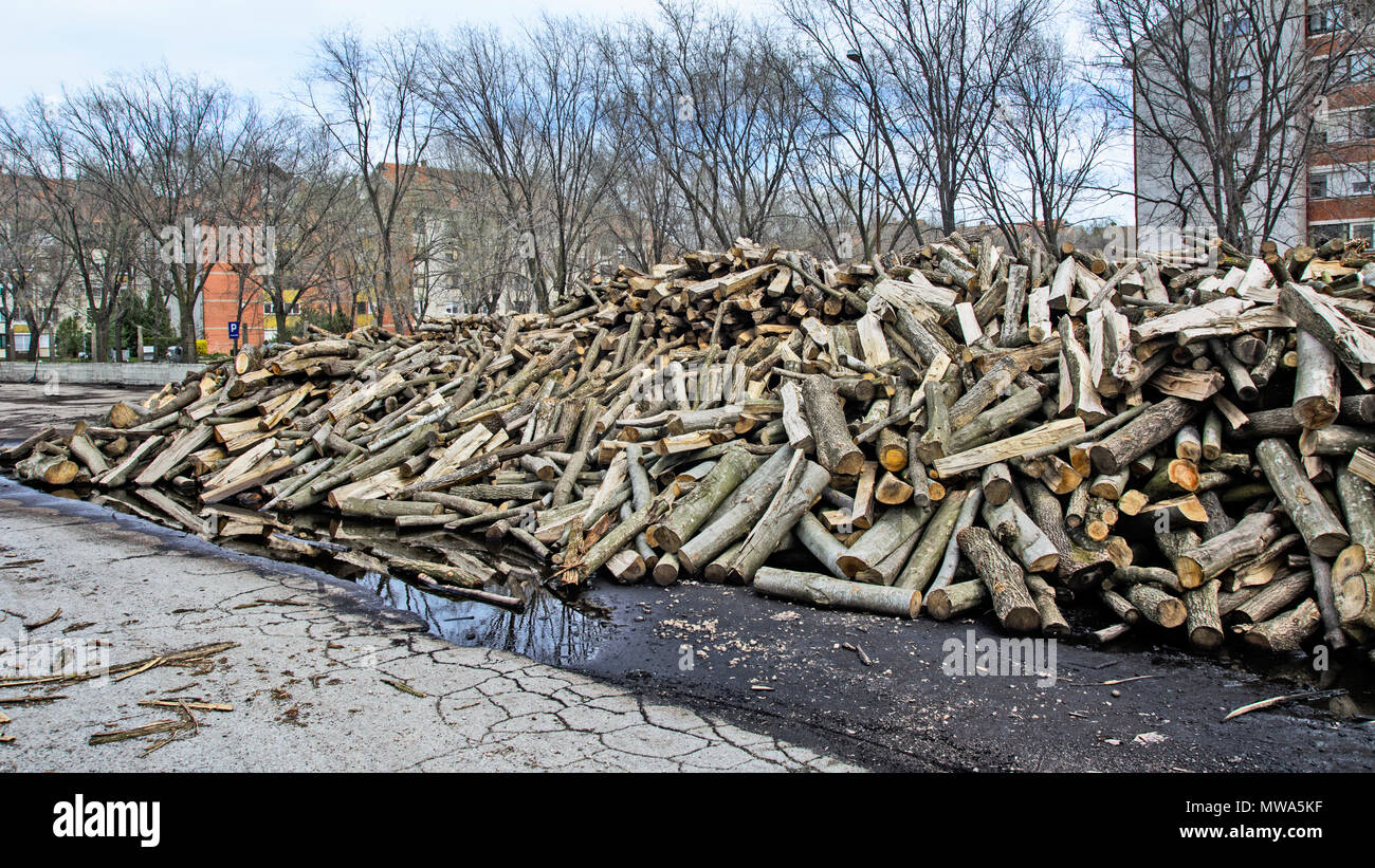 Logging depot hi-res stock photography and images - Alamy