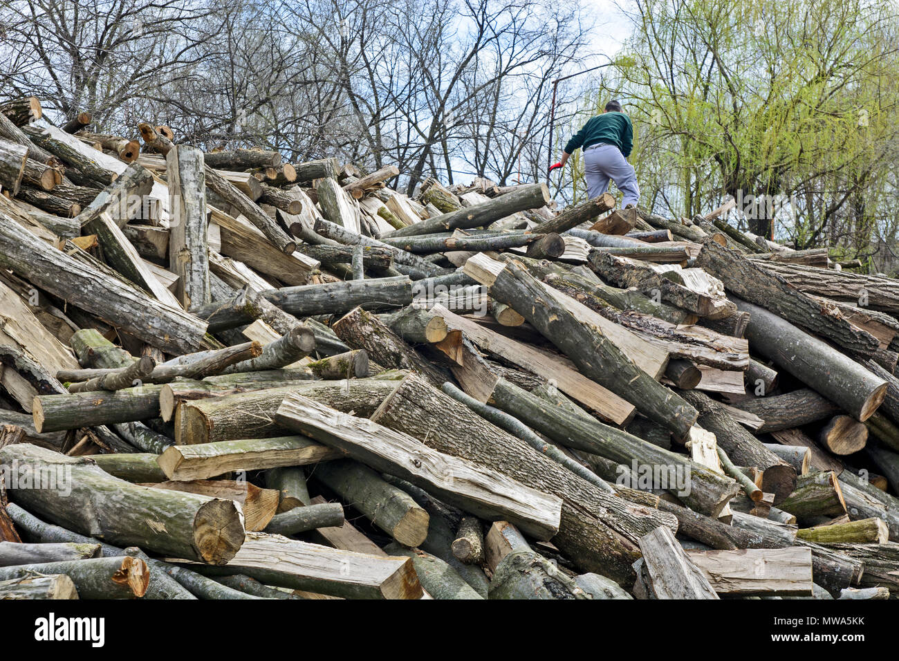 Logging depot hi-res stock photography and images - Alamy