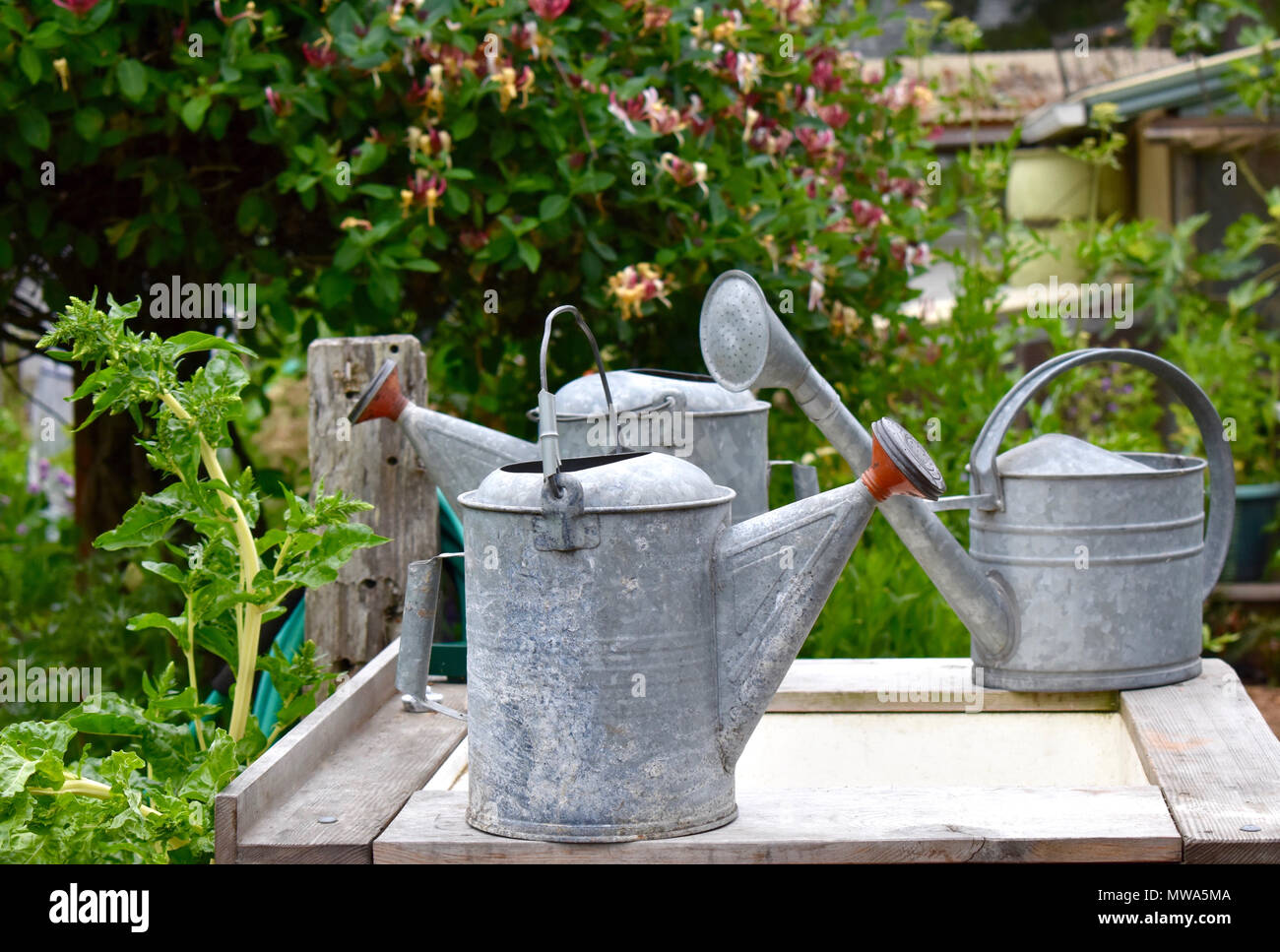Collection of Watering Cans in a Community Garden Stock Photo - Alamy