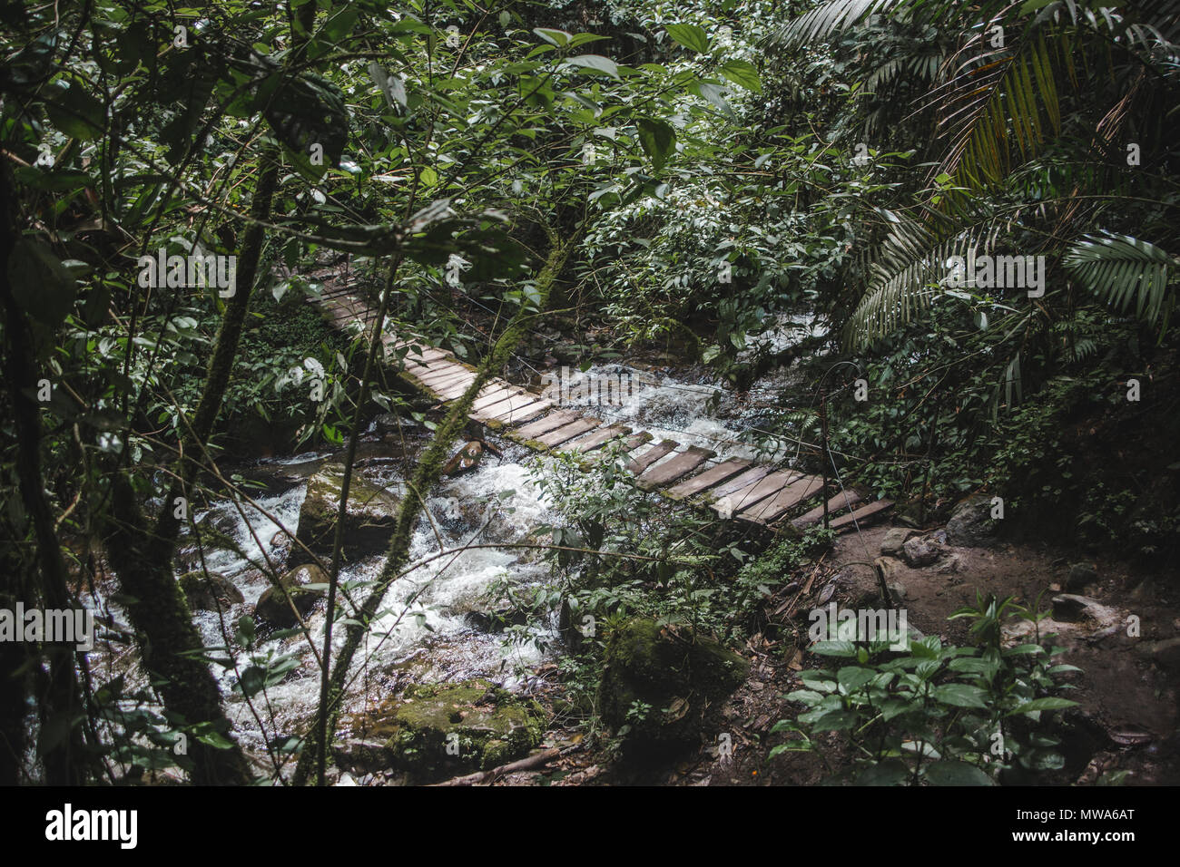 Valley crossing rope hi-res stock photography and images - Alamy