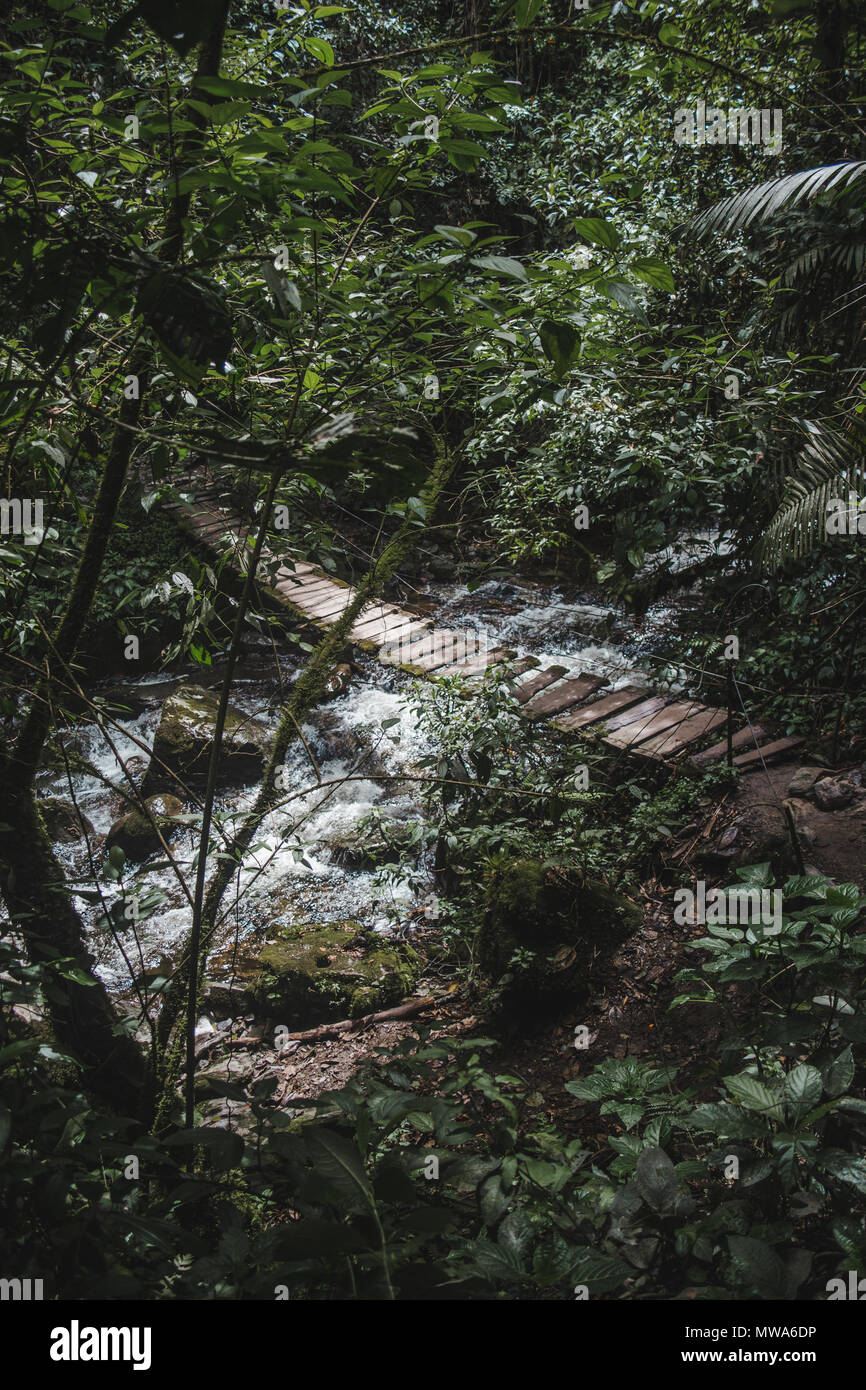 Rickety rope and wood bridge going across a rocky river on a hiking ...