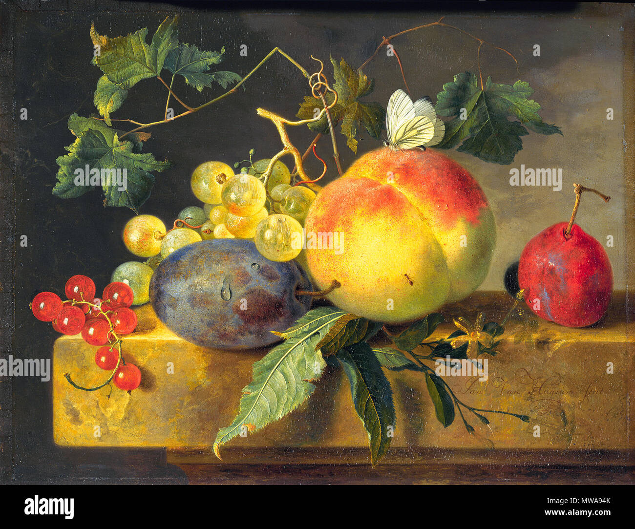 . Dutch: Fruitstilleven. Fruit Still-life . circa 1724 230 Fruit Still ...