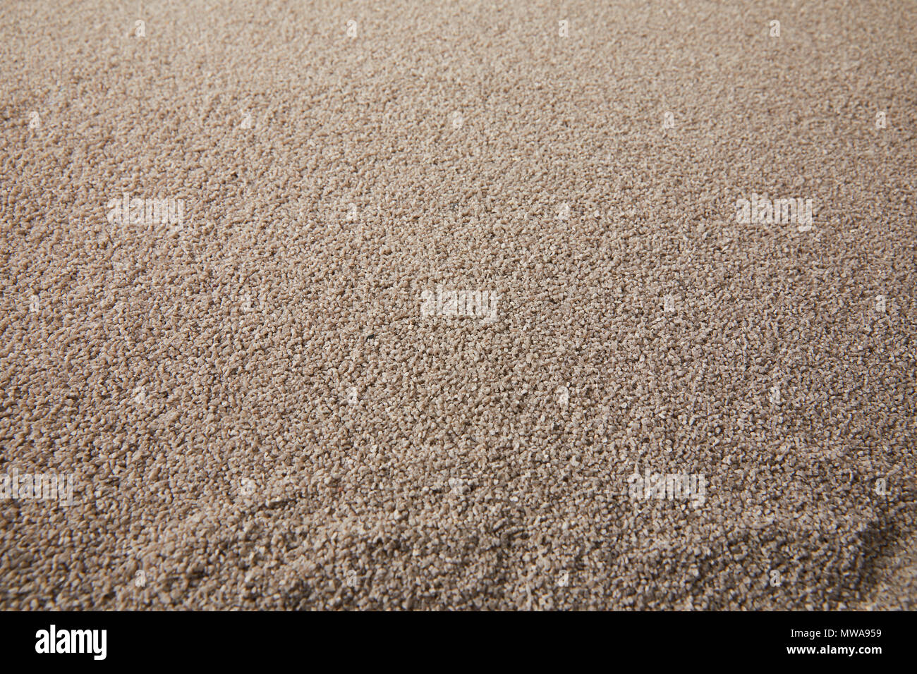 full frame on grey sand texture backdrop Stock Photo - Alamy