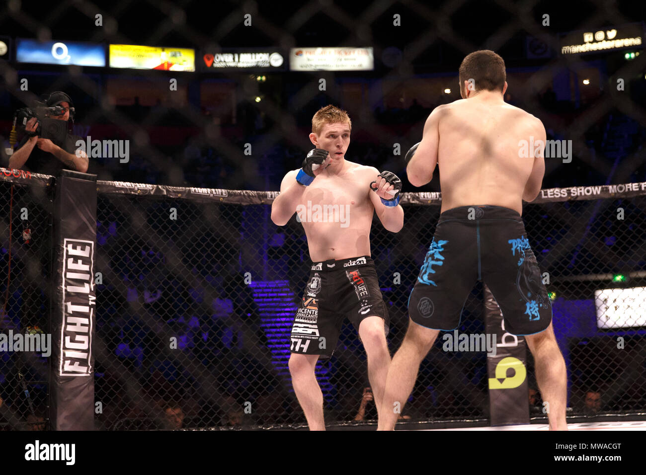 Bantamweight hi-res stock photography and images - Alamy