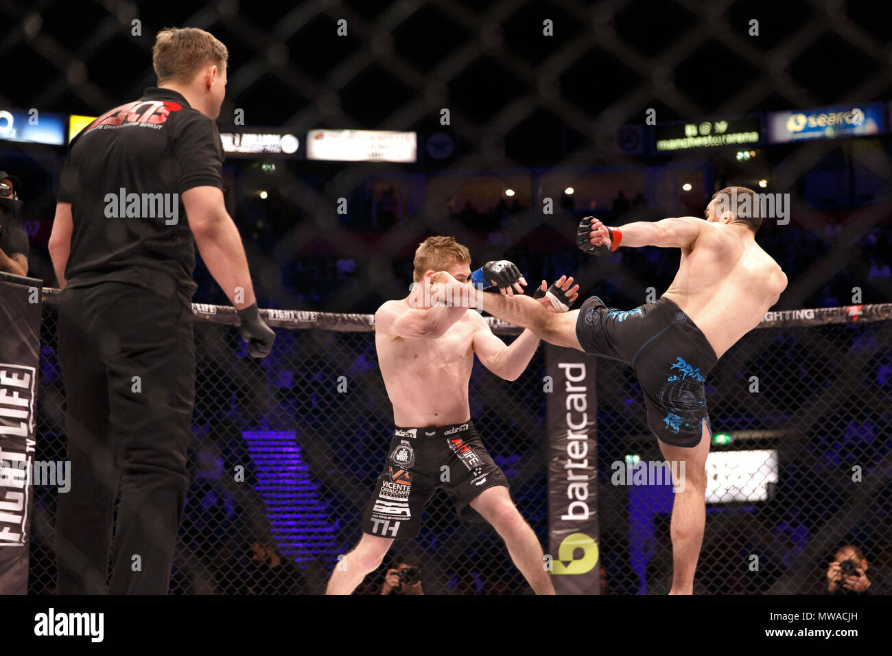 Ufc Knockout Kick Off Gabbia