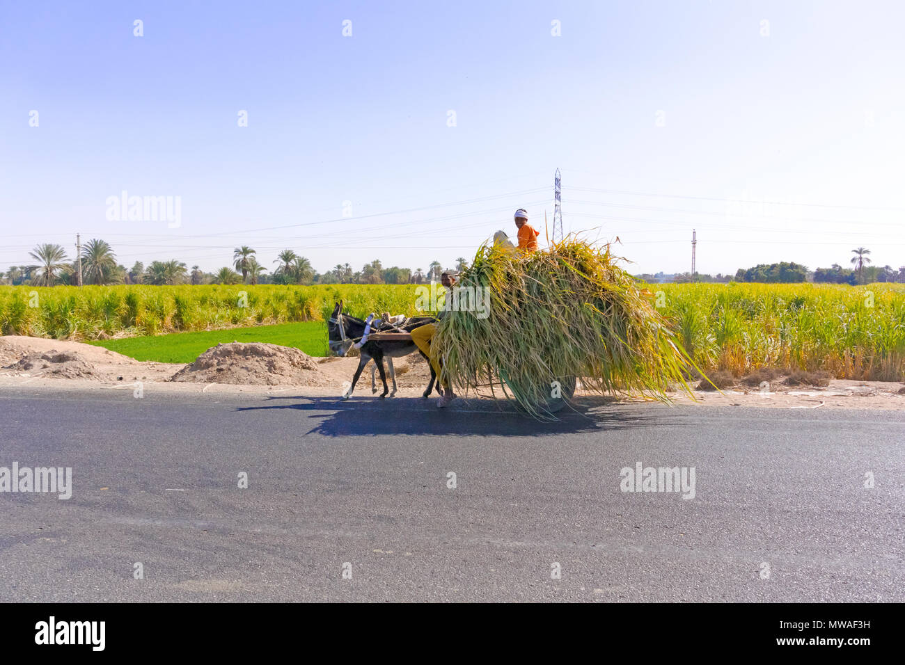 Donkey wheel hi-res stock photography and images - Alamy