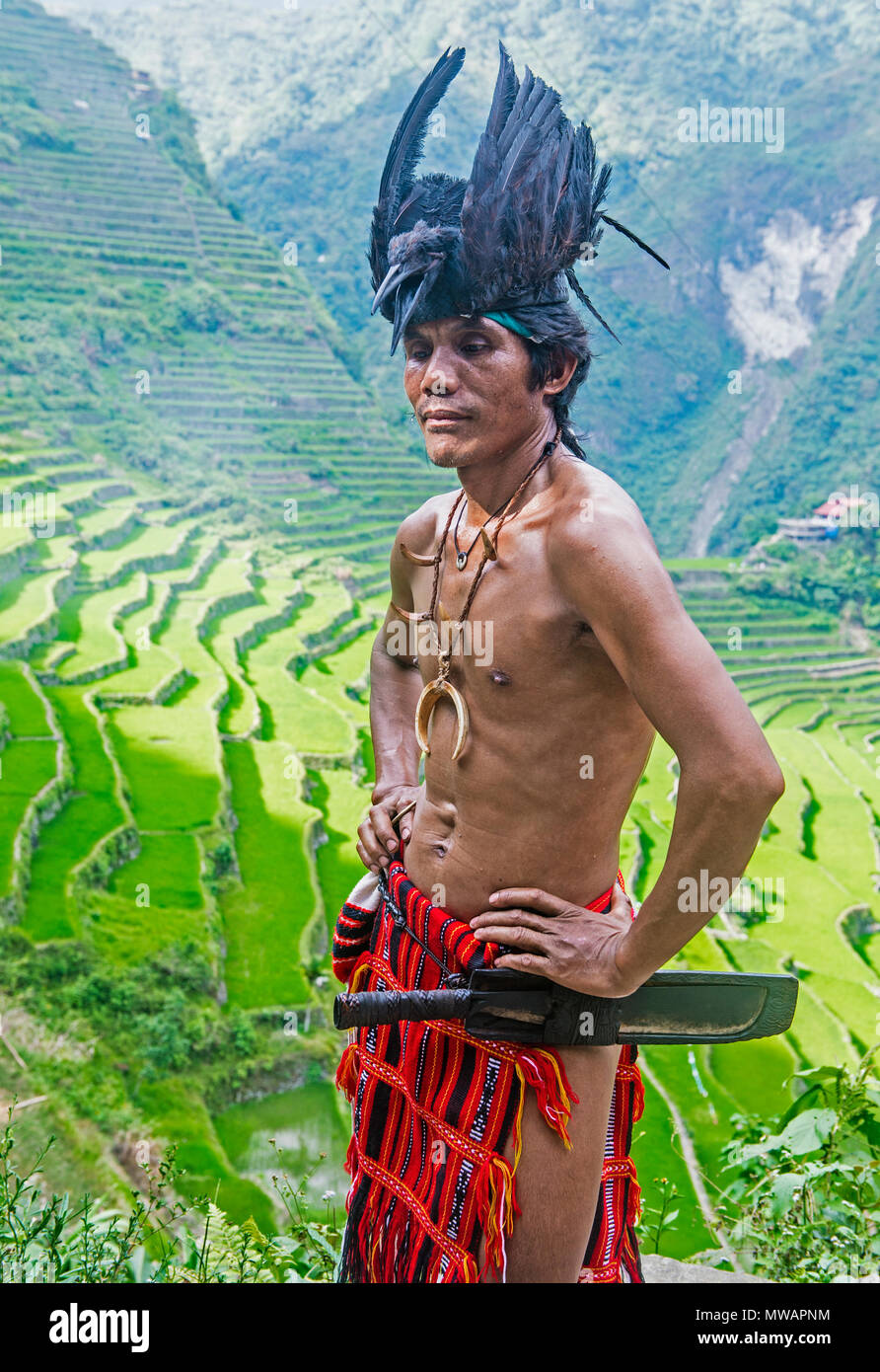 Ifugao man in traditional clothes hi-res stock photography and images ...