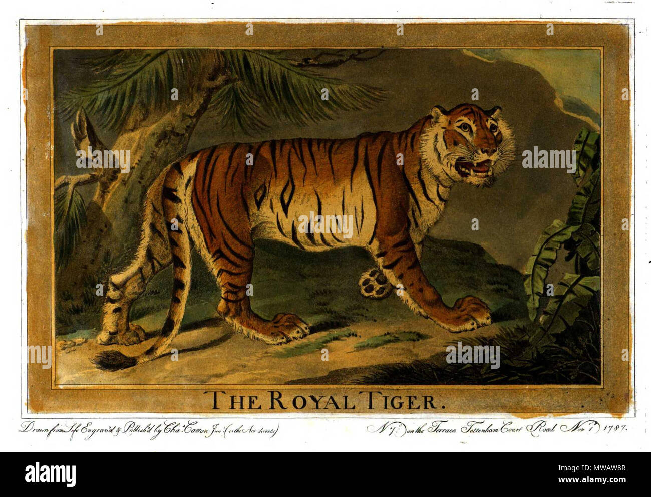 Catton hi-res stock photography and images - Alamy