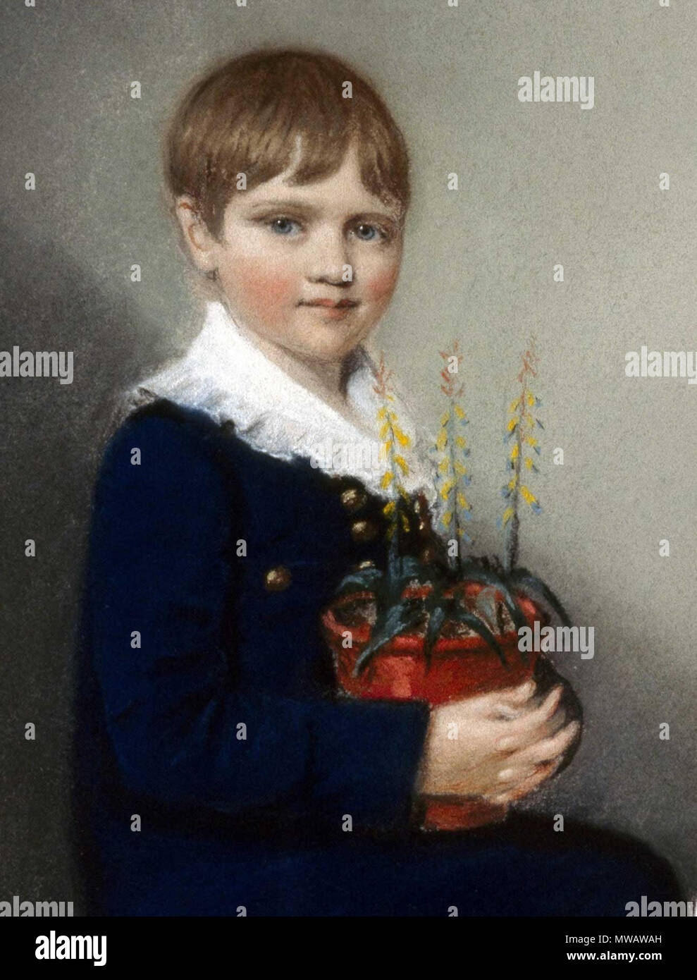 . English: An 1816 chalk drawing of Charles Darwin at age six with ...