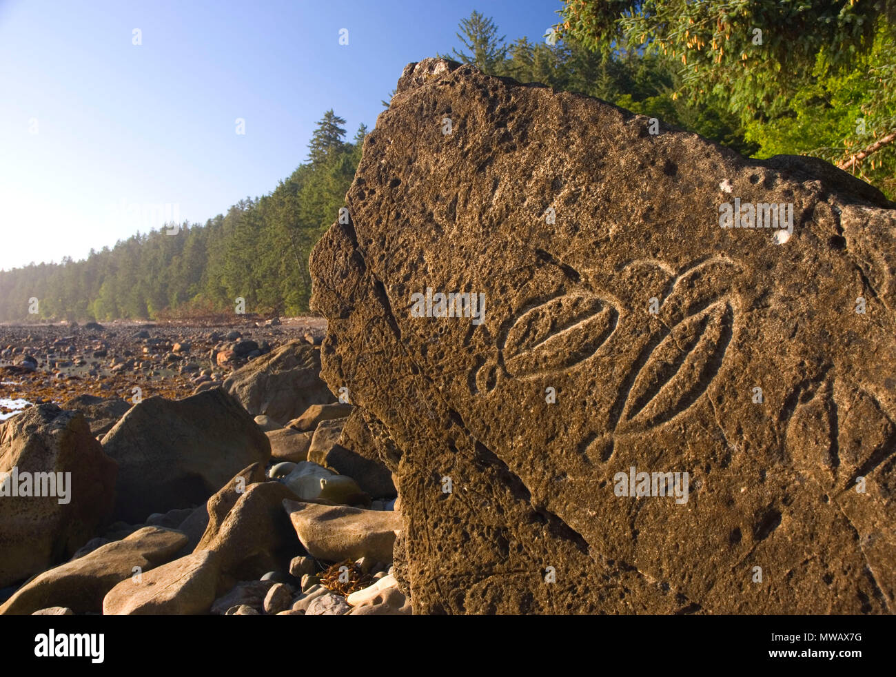 Ozette petroglyph hi-res stock photography and images - Alamy