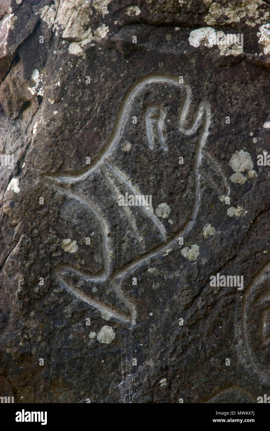 Petroglyphs at Wedding Rock, Olympic National Park, Washington Stock ...