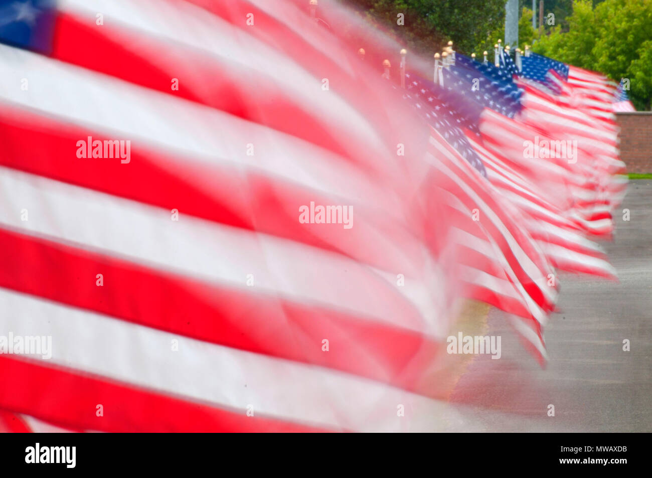 July 4 American flags, Centennial Park, Lynden, Washington Stock Photo ...