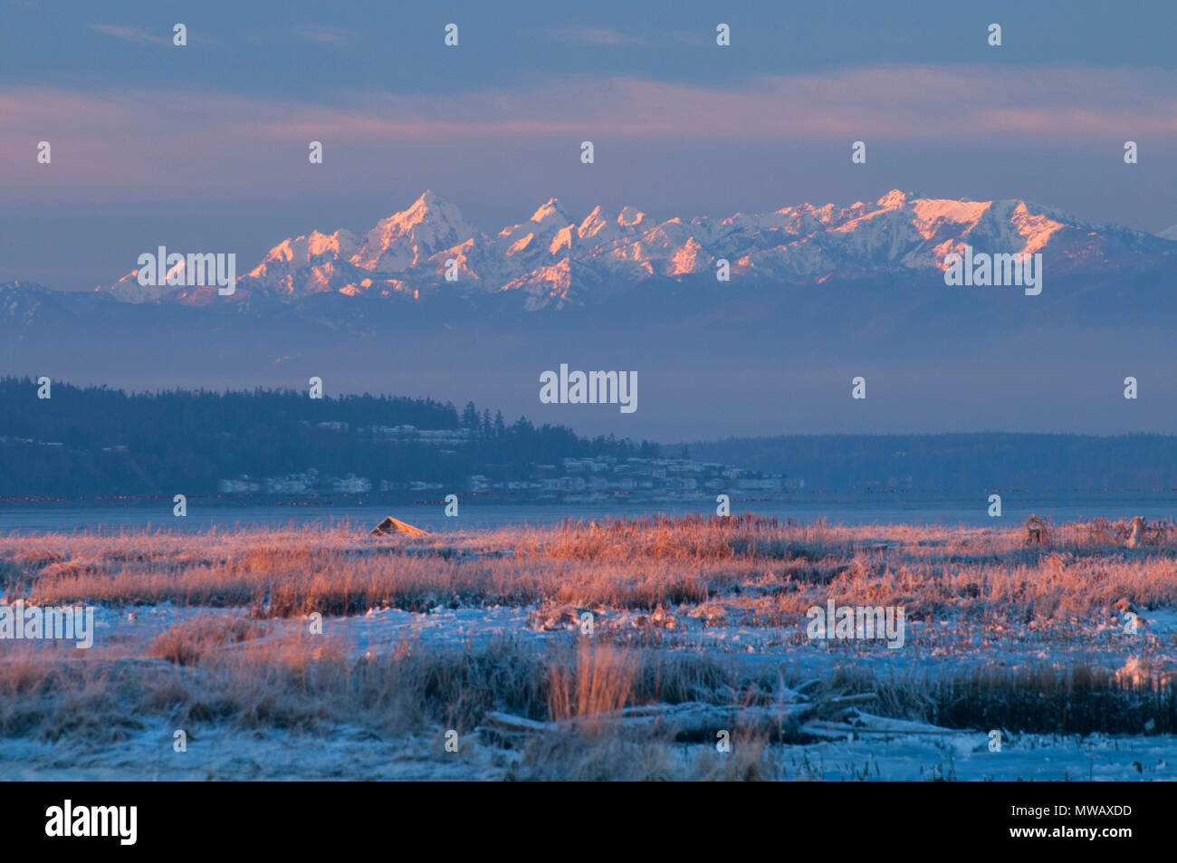 Skagit valley hi-res stock photography and images - Alamy