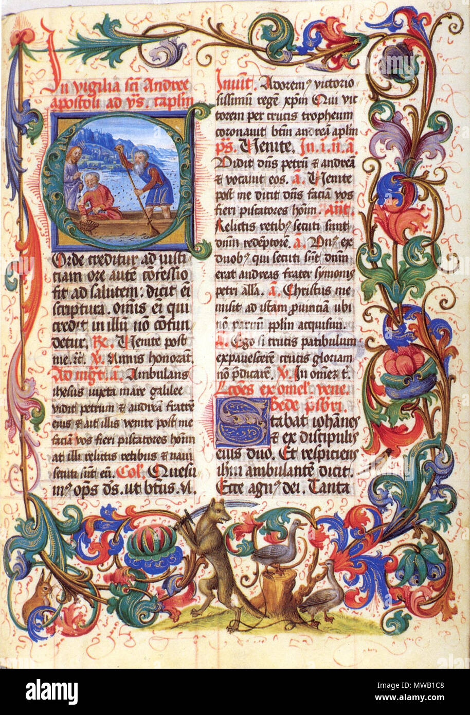 . Boot - illuminated initial 136 Codex Sal IXc Boot Stock Photo - Alamy