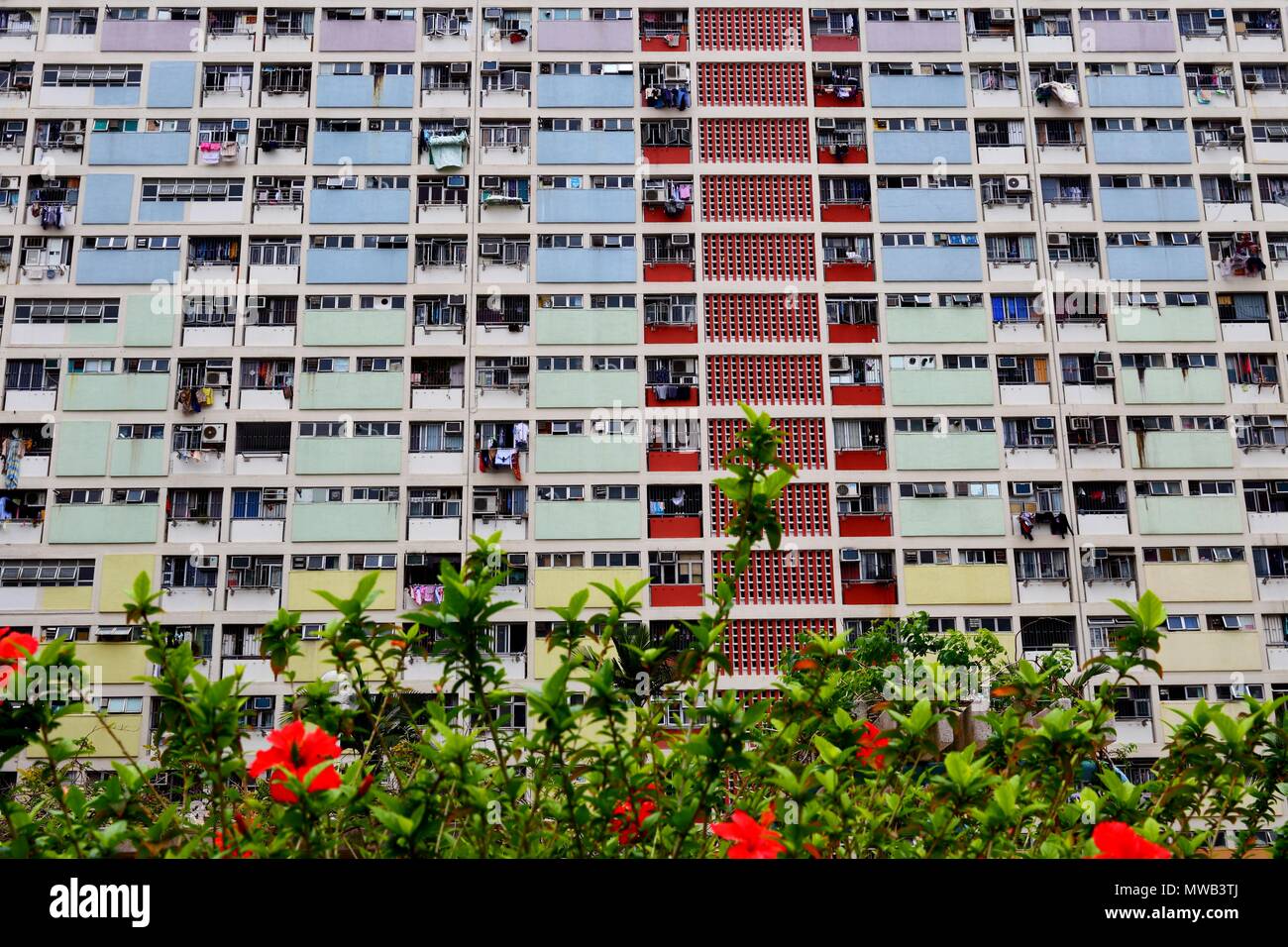 old public populated housing estates in Hong Kong Stock Photo - Alamy