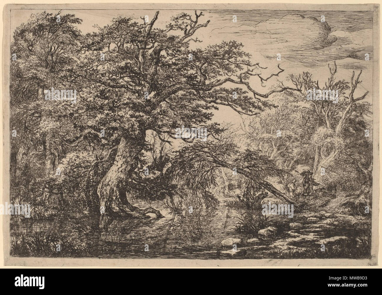 . English: Etching of a forest scene . 1640s-1650s. Jacob van ruisdael ...