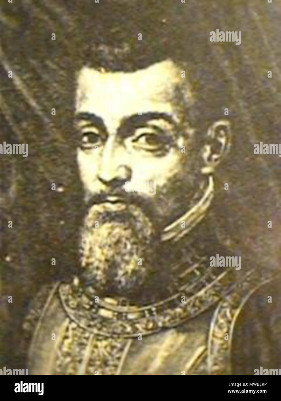 Gasca hi-res stock photography and images - Alamy