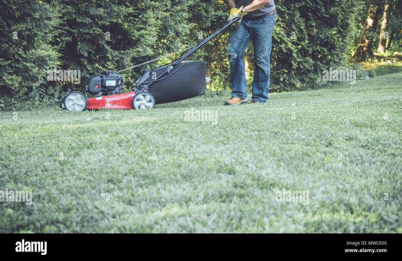 Red lawn mower cutting grass being pushed across a residential lawn by ...