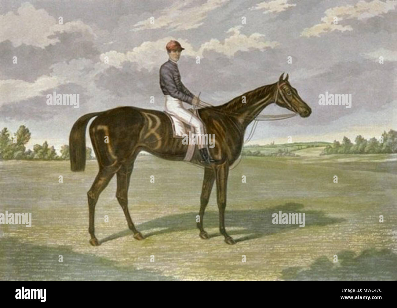 . English: Engraving of Favonius, 1871 Epsom Derby winner, by E Hester ...