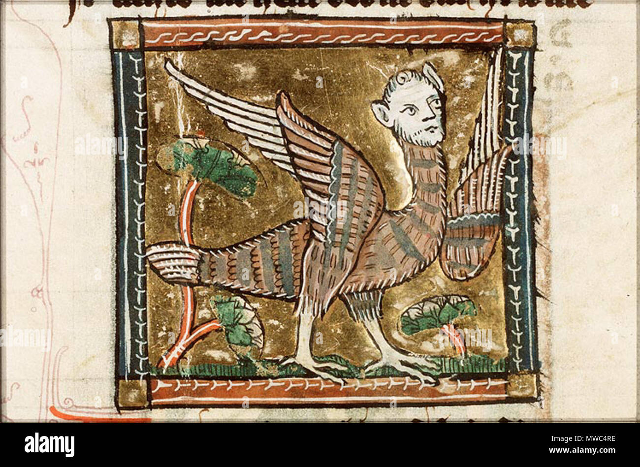 . Español: Representación medieval de una arpía . circa 1350. Jacob van ...