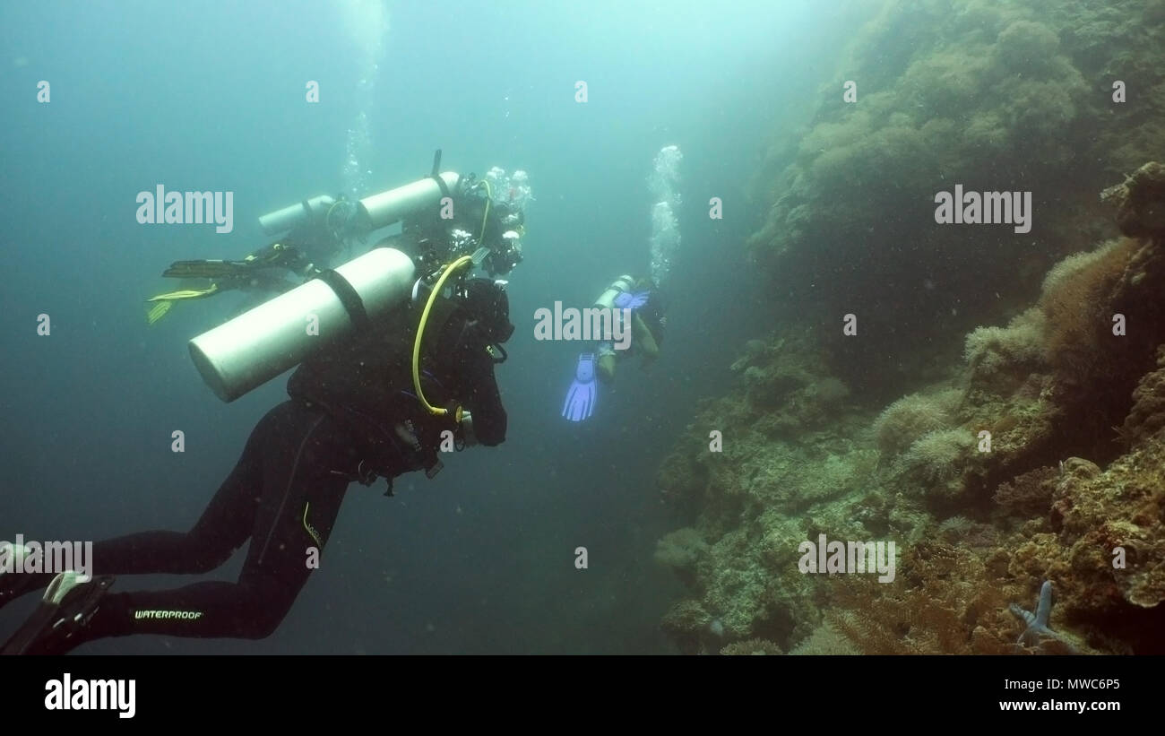 Scuba divers explores underwater coral reef and watching the fish.Scuba ...