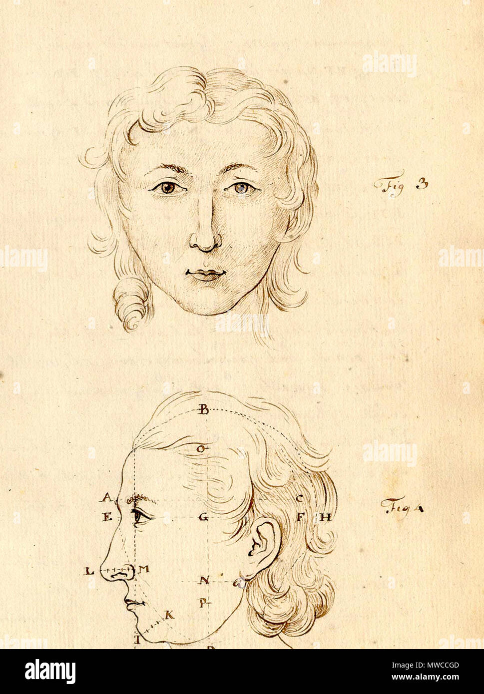 . English: Anonymous. [tise on physiognomy. (Netherlands?, ca. 1790 ...