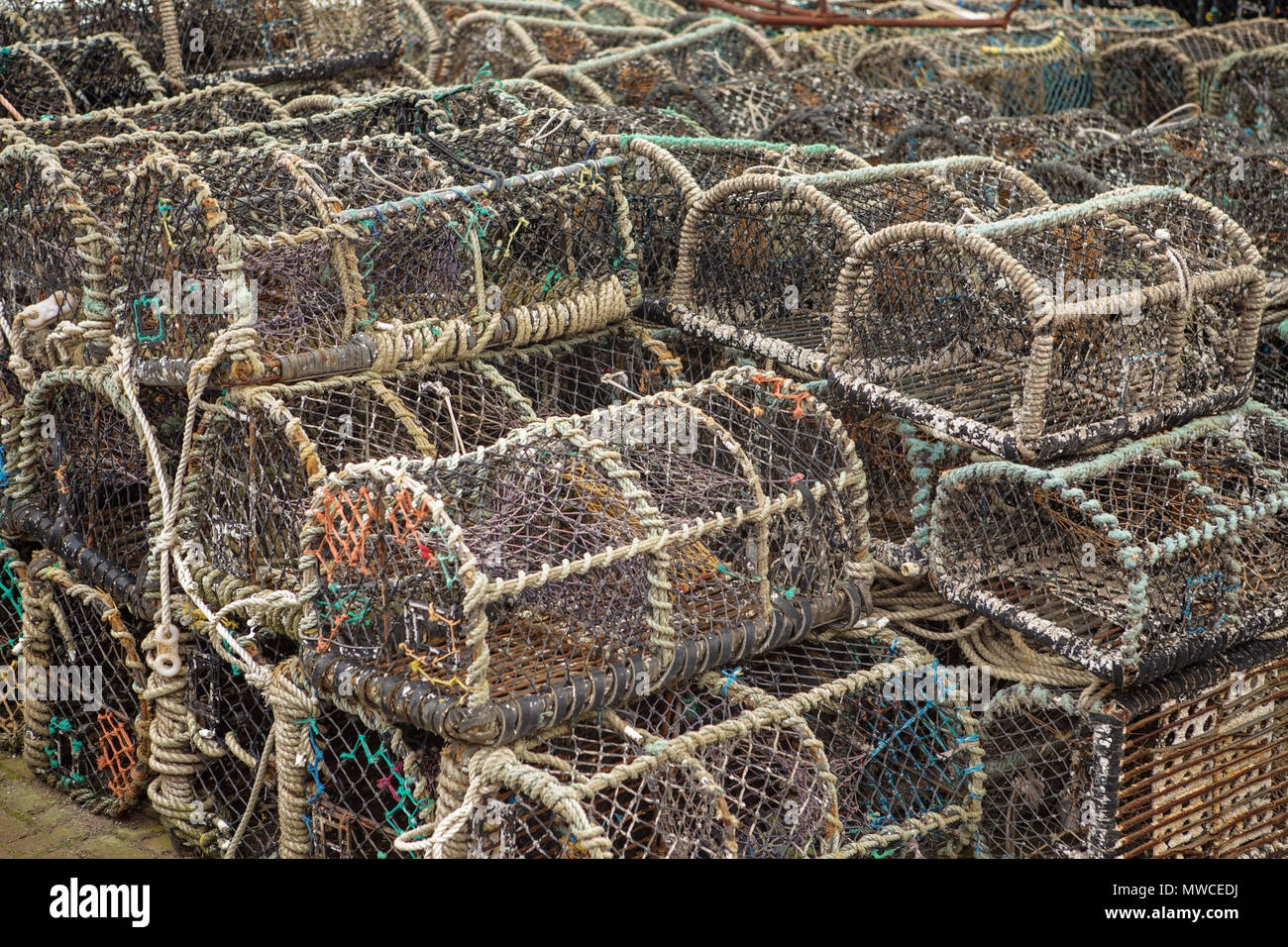 background image of lobster net Stock Photo - Alamy