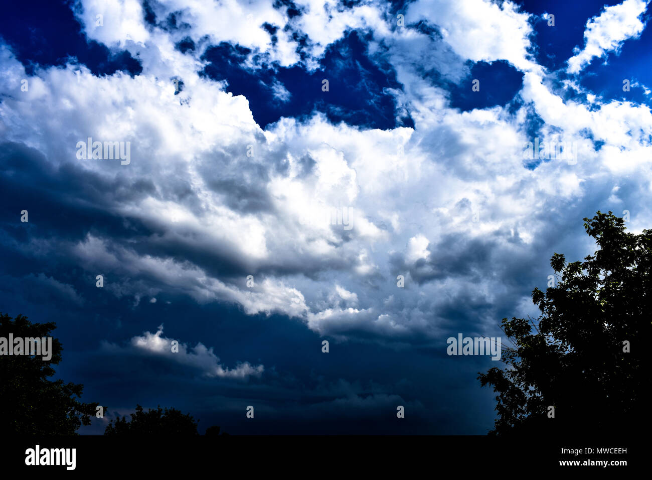 Blowing trees in a storm rain hi-res stock photography and images - Alamy