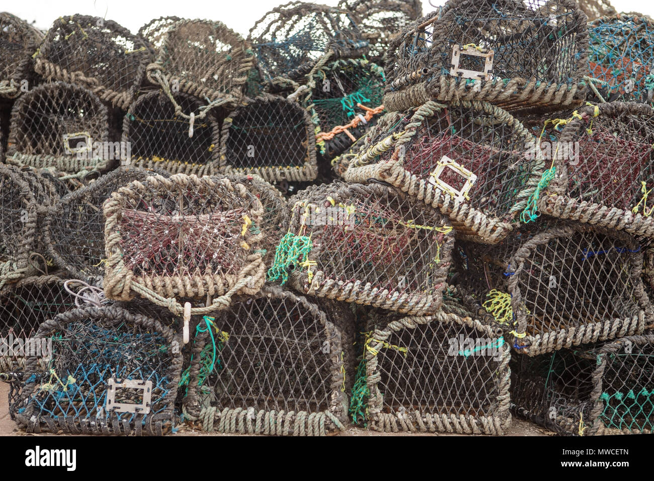 background image of lobster net Stock Photo - Alamy