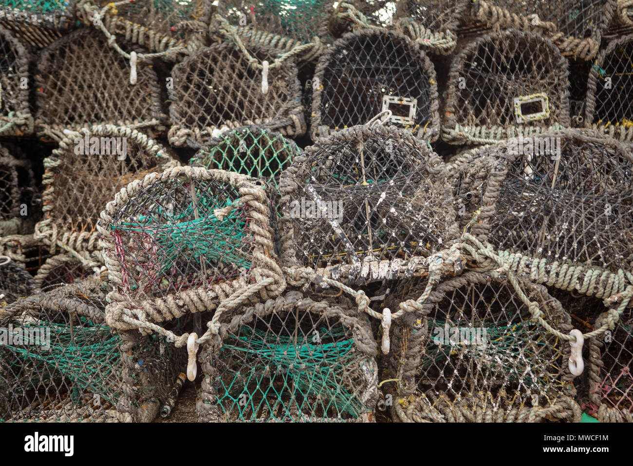 background image of lobster net Stock Photo - Alamy