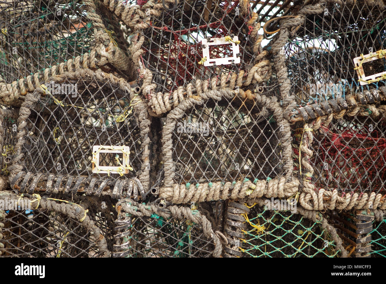 background image of lobster net Stock Photo - Alamy