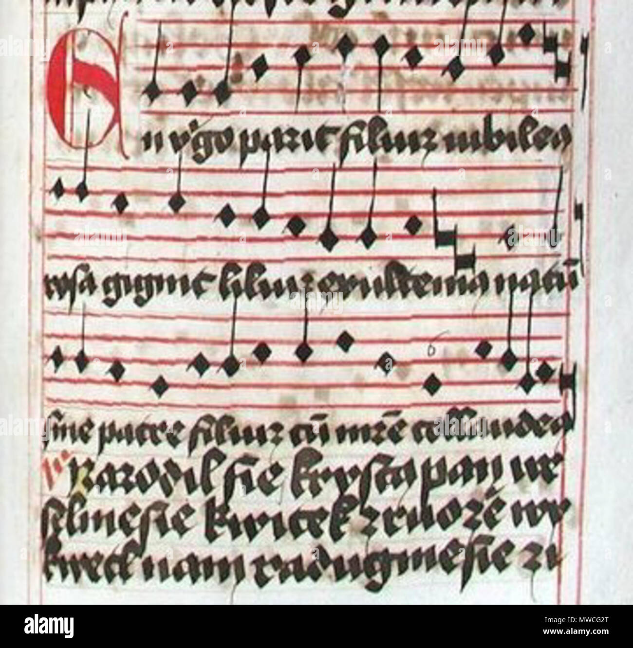 Filium hi-res stock photography and images - Alamy