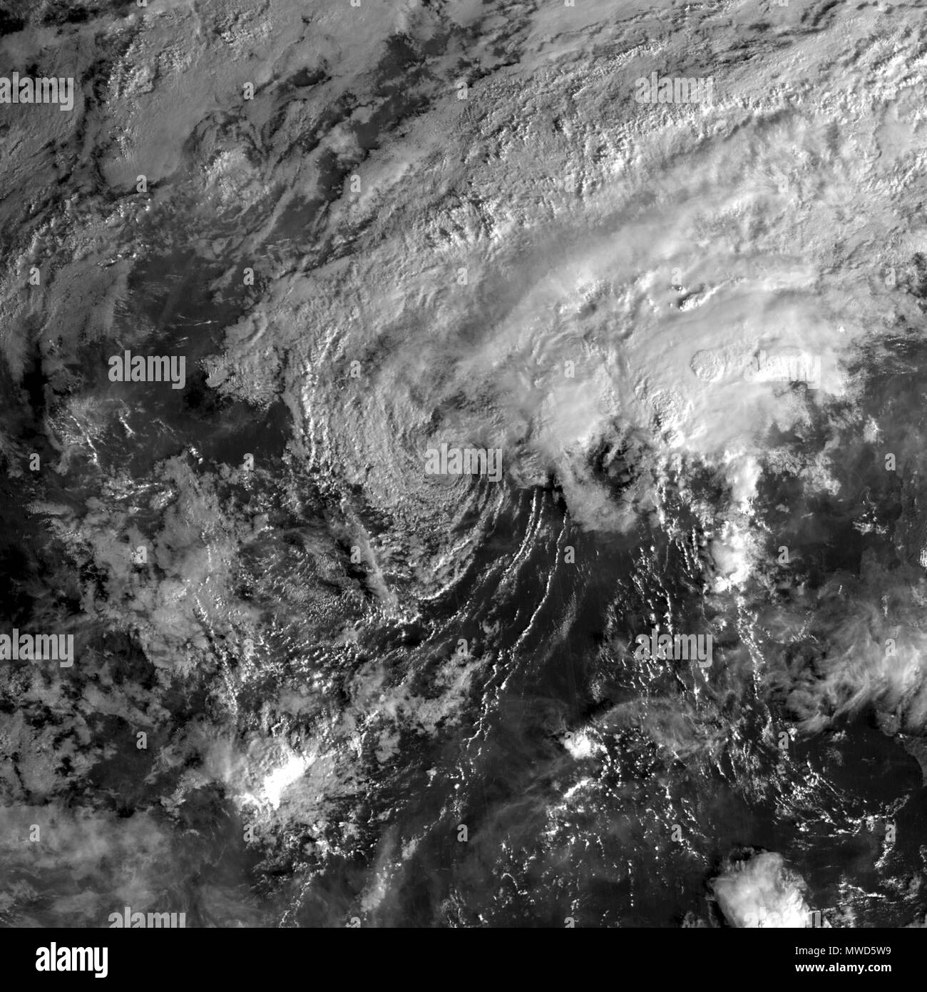 The joint typhoon warning Black and White Stock Photos & Images - Alamy