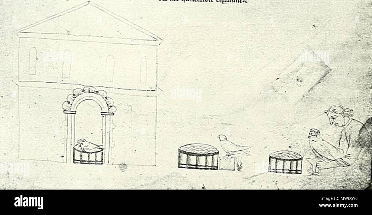 . English: De arte venandi cum avibus . 13th century. Unknown 201 Falc ...