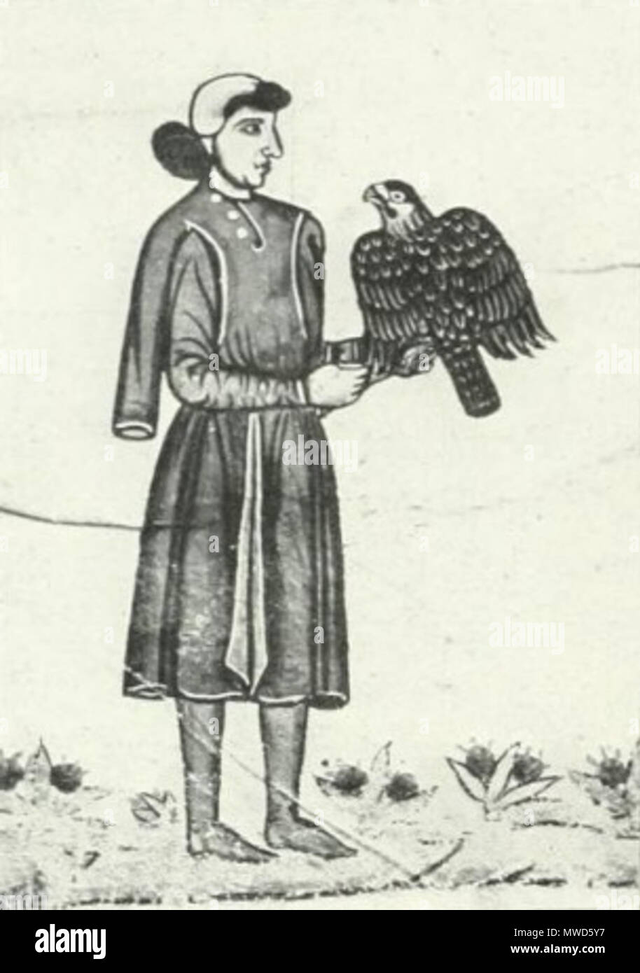 . English: De arte venandi cum avibus . 13th century. Unknown 201 Falc1 ...