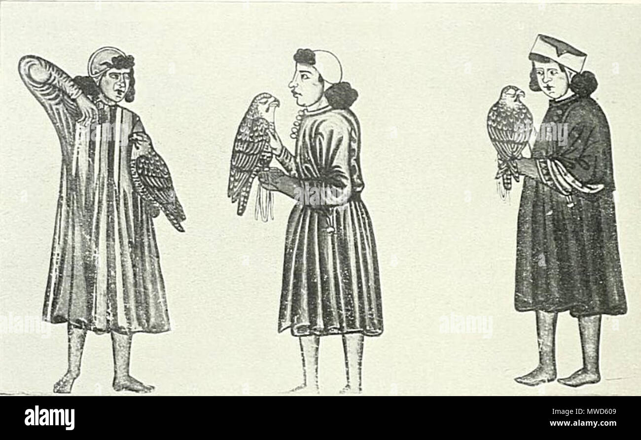. English: De arte venandi cum avibus . 13th century. Unknown 201 Falk1 ...