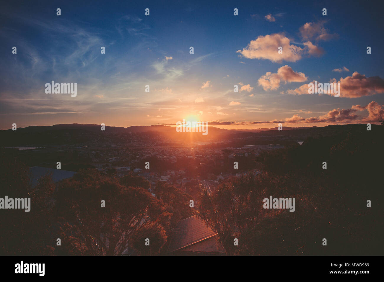 Sunset at Wellington New Zealand landscape Stock Photo - Alamy