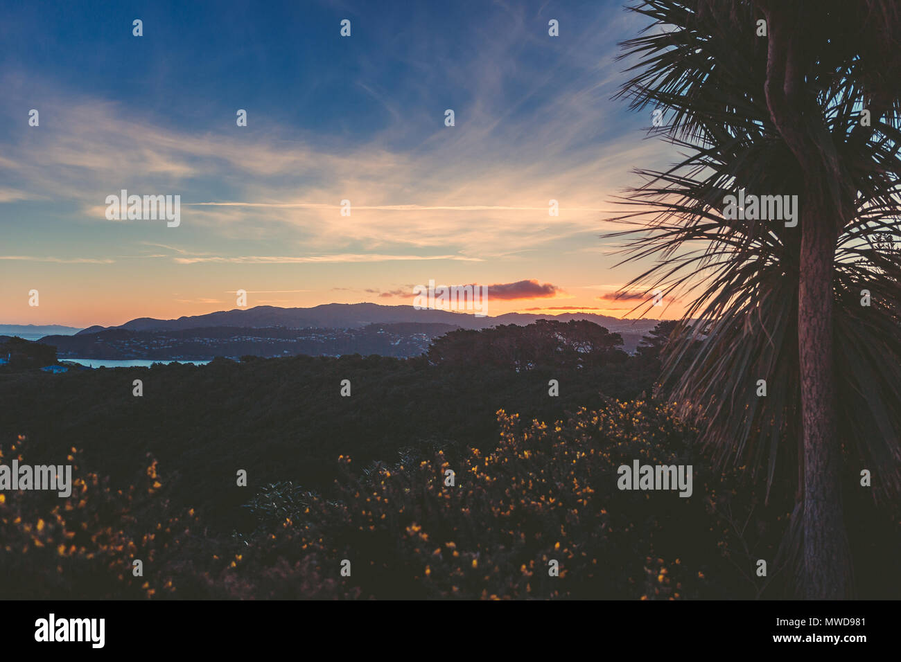 Sunset at Wellington New Zealand landscape Stock Photo - Alamy