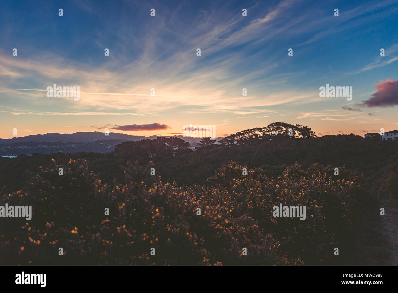 Sunset at Wellington New Zealand landscape Stock Photo - Alamy