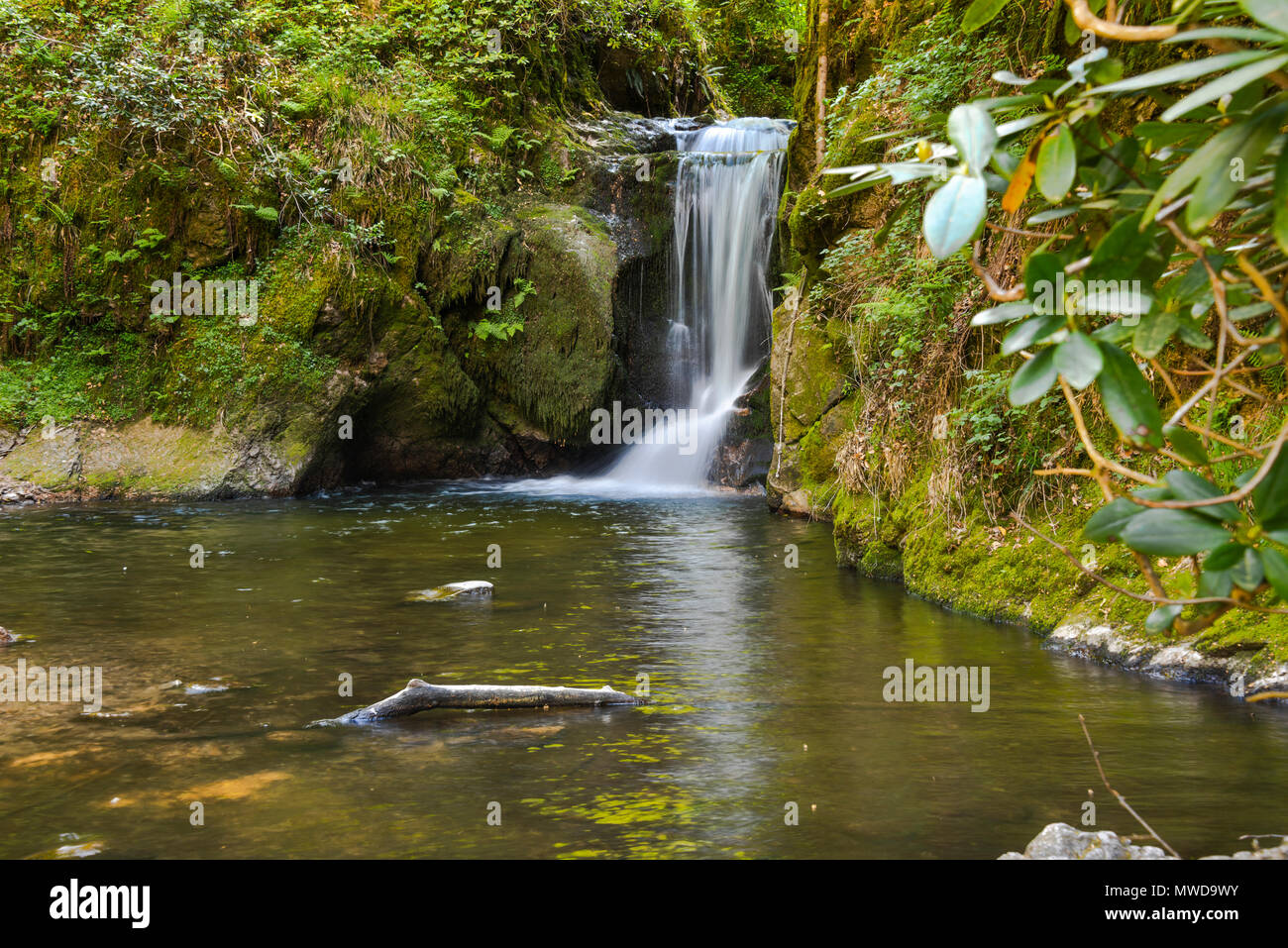 waterfall Geroldsau with plunge pool, in the valley of Baden-Baden ...