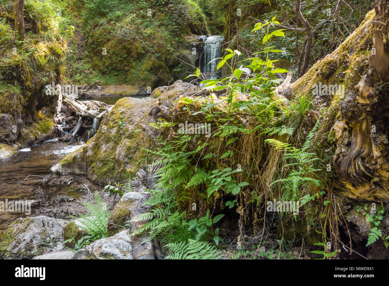 Growing of trip hi-res stock photography and images - Alamy