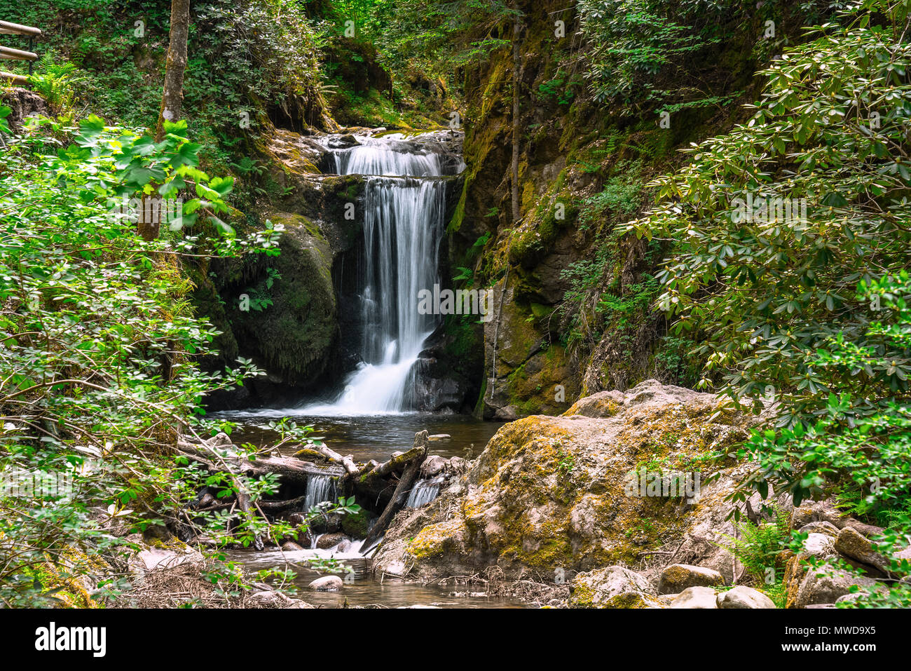 Idyllic unspoiled environment hi-res stock photography and images - Alamy