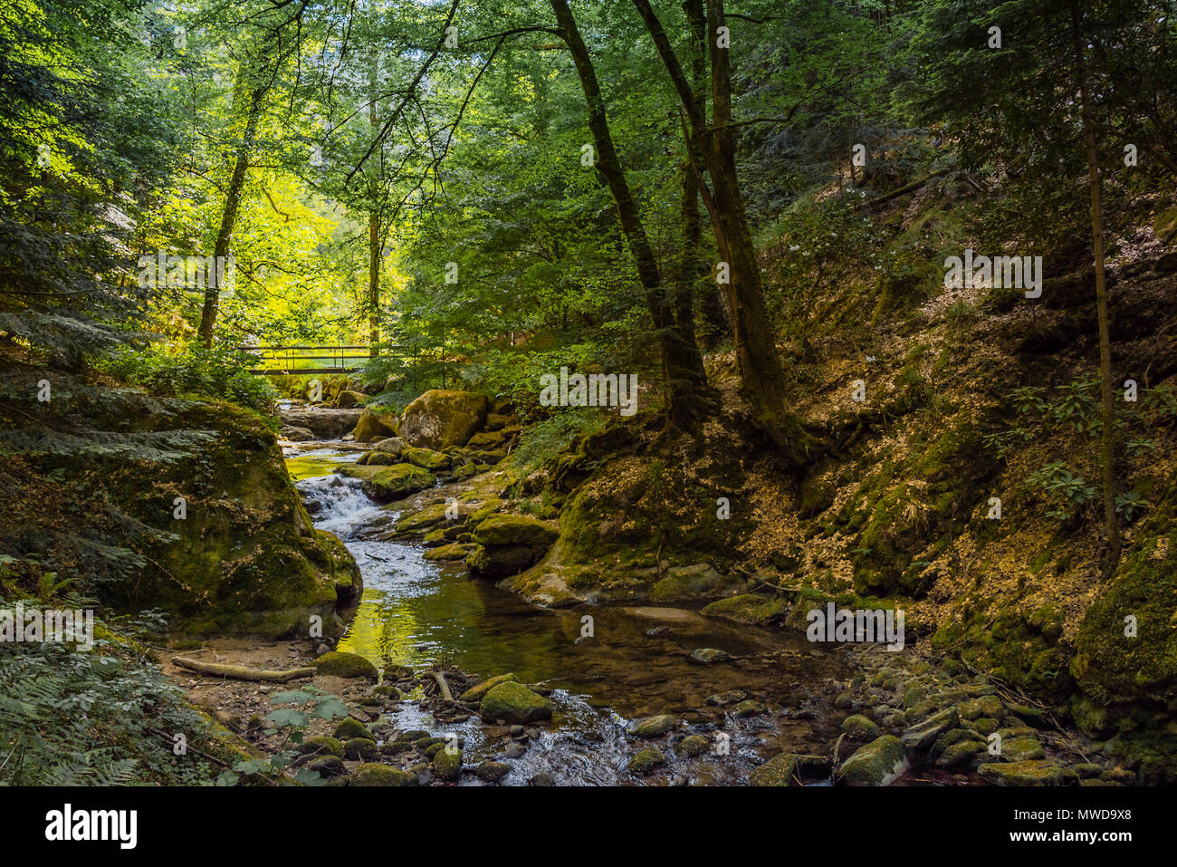 waterfall Geroldsau, in the valley of Baden-Baden, Germany, runnel ...