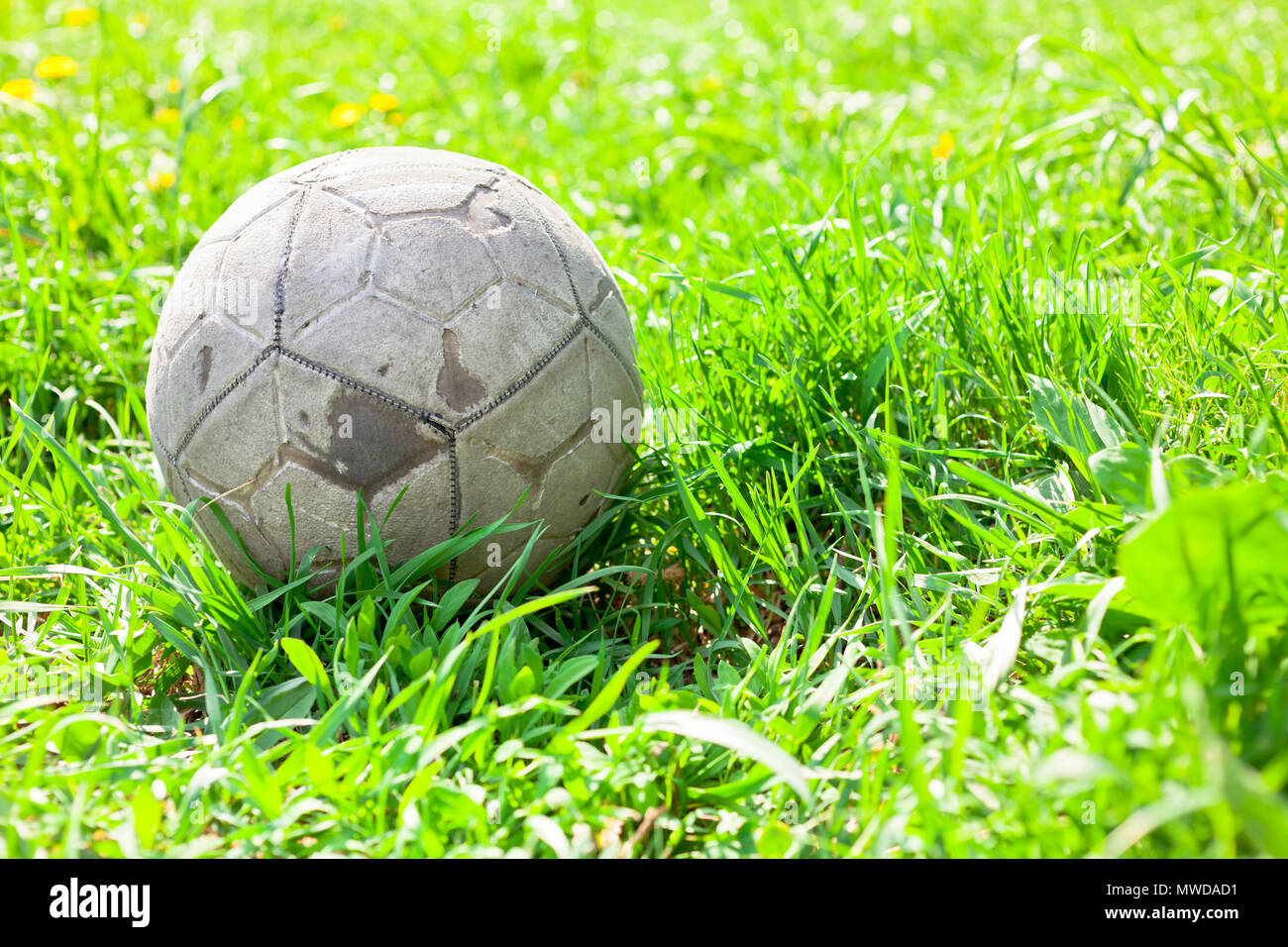 Old soccer ball forgotten in the green grass field. The football ...