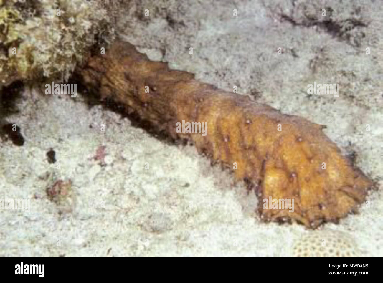 21 04 1980 hi-res stock photography and images - Alamy