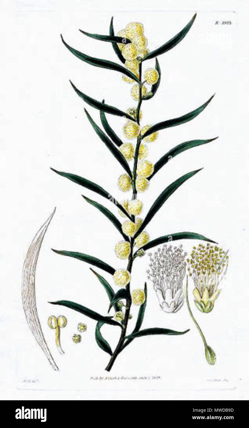 Art magazine image Cut Out Stock Images & Pictures - Alamy