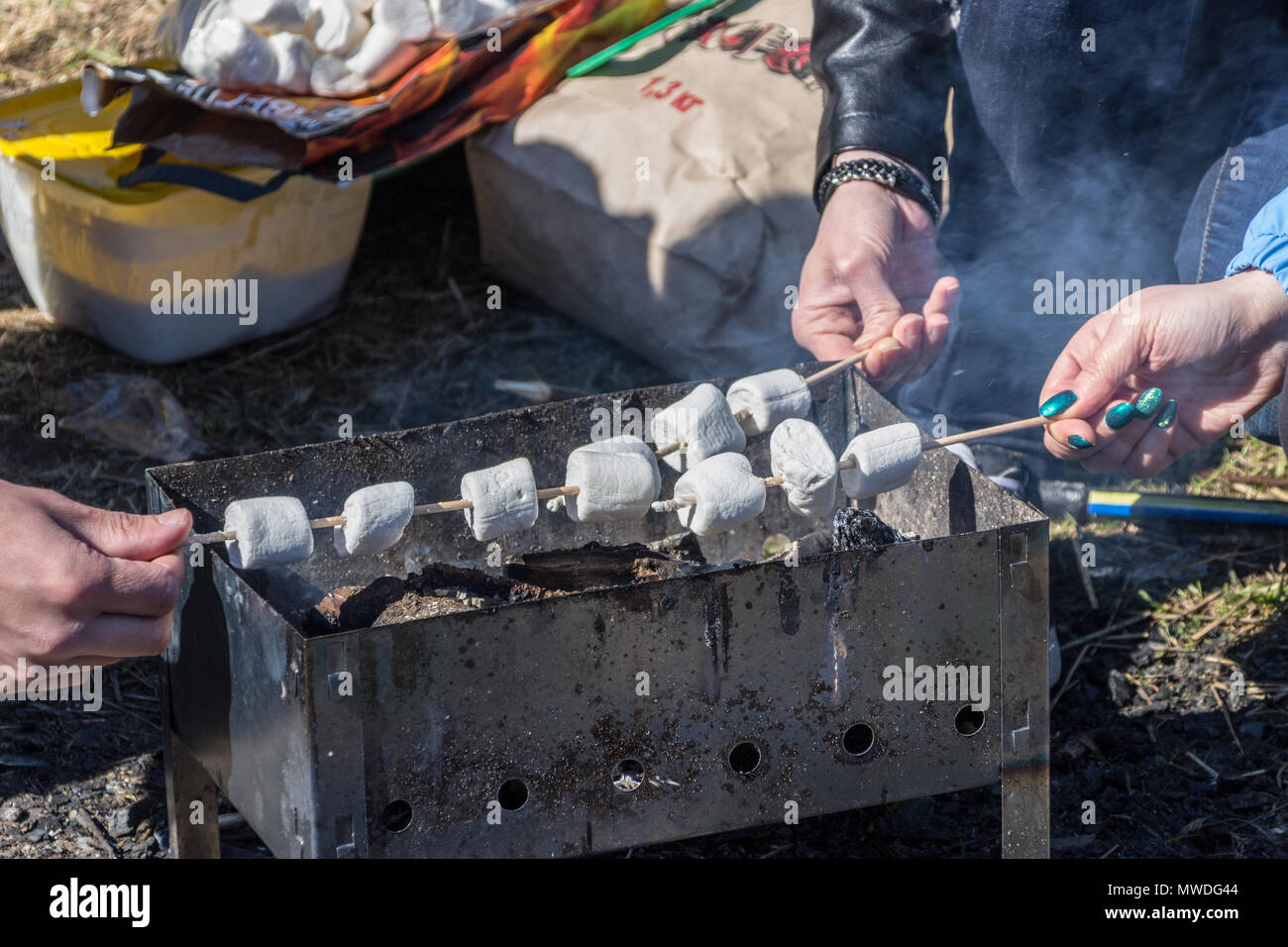 Marshmallow cook at the stake Stock Photo - Alamy