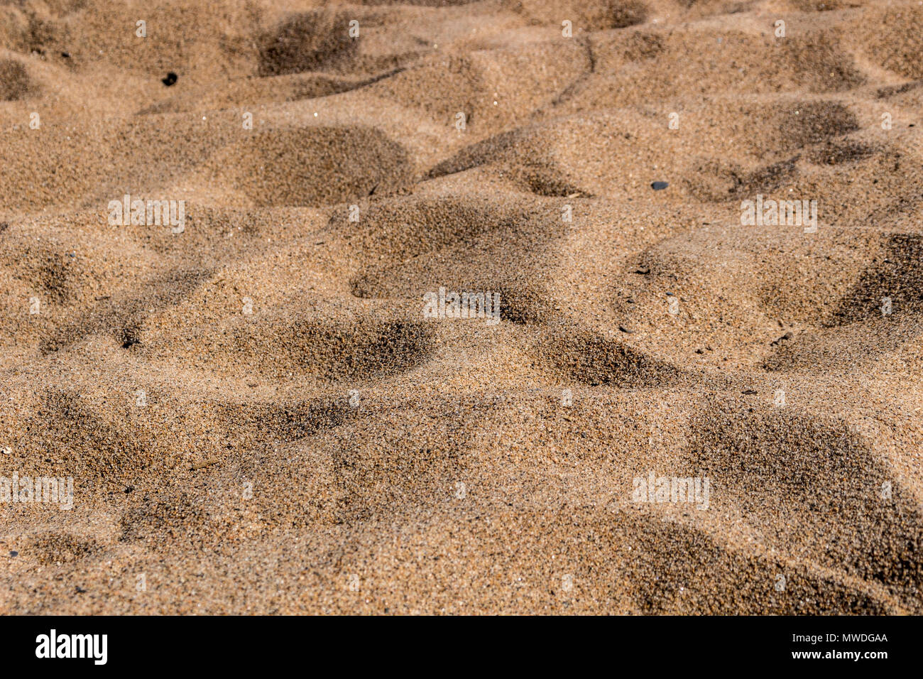 Sand on the beach close up Stock Photo - Alamy